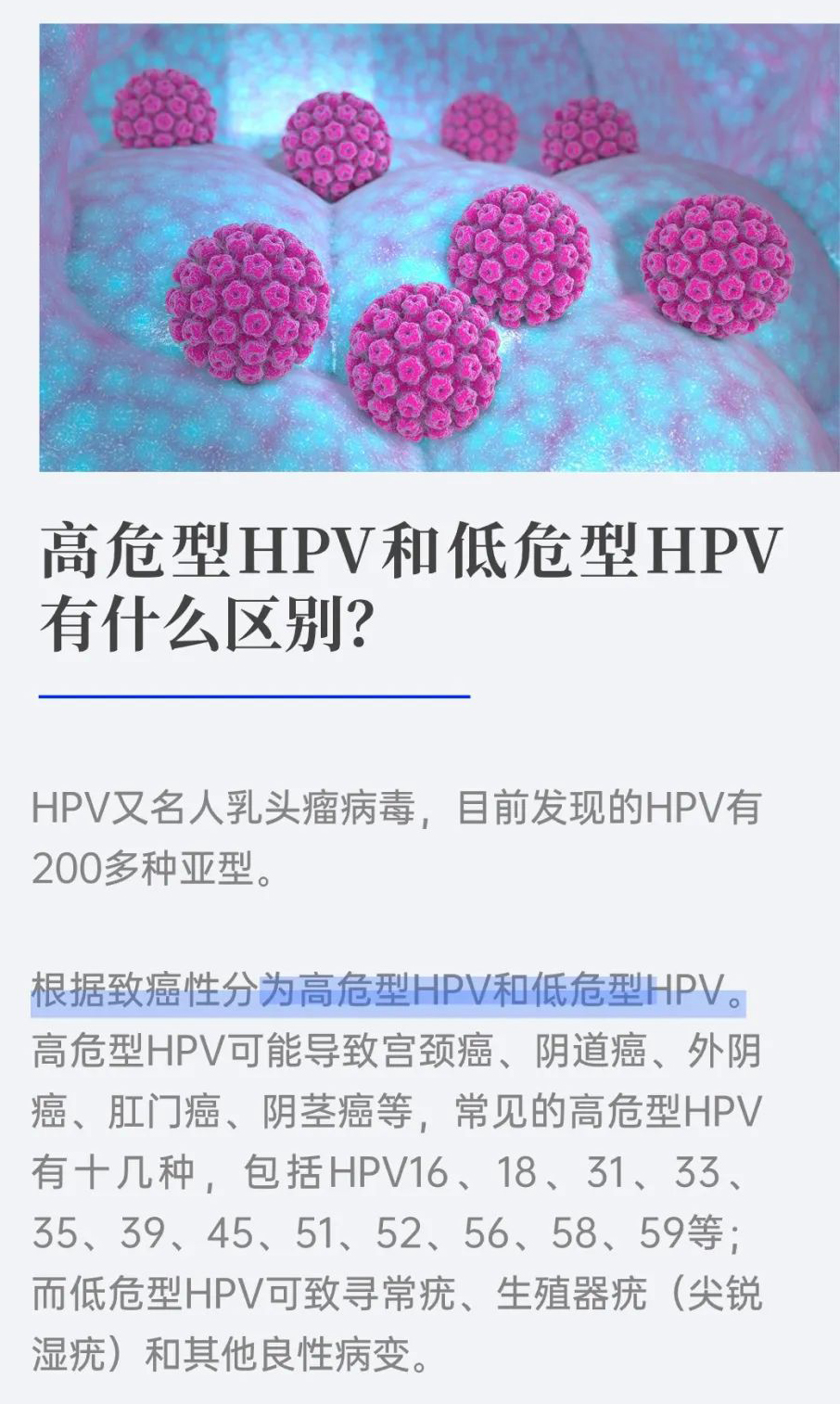 高危型HPV和低危型HPV有什么区别？_东莞阳光网
